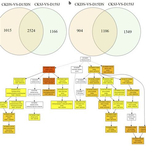 Comparative Transcriptome Analysis Of The Two Cultivars Revealed Cold Download Scientific