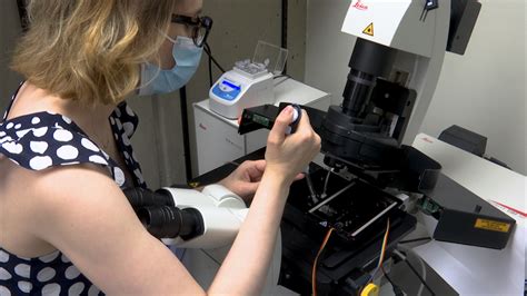 Video Visualizing Actin And Microtubule Coupling Dynamics In Vitro By Total Internal Reflection