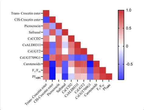 Figure Correlation Between Gene Expression Of Critical Genes In Crocin Download Scientific
