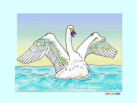 オオハクチョウの壁紙ー鳥の塗り絵
