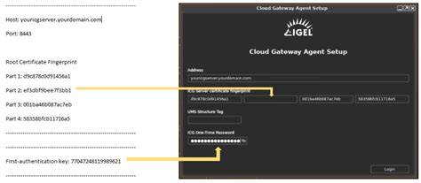 Howto Basic Setup Guide Igel Community Docs