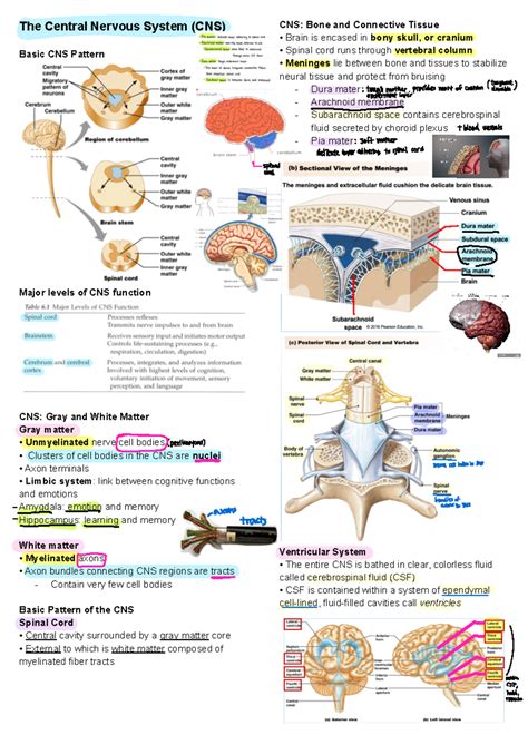 Patho Note 6 Lecture Notes Deprecated Api Usage The Svg Back End Is No Longer Maintained