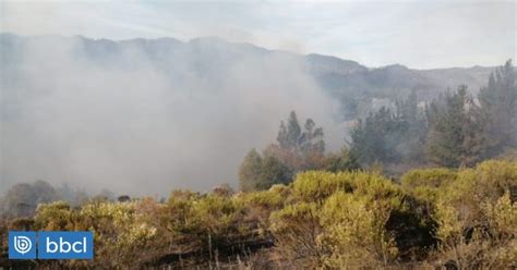 Declaran Alerta Roja En La Comuna De Galvarino Por Incendio Forestal