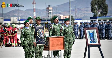 Volvieron A México Los Restos De Proteo El Perro Rescatista Que Murió