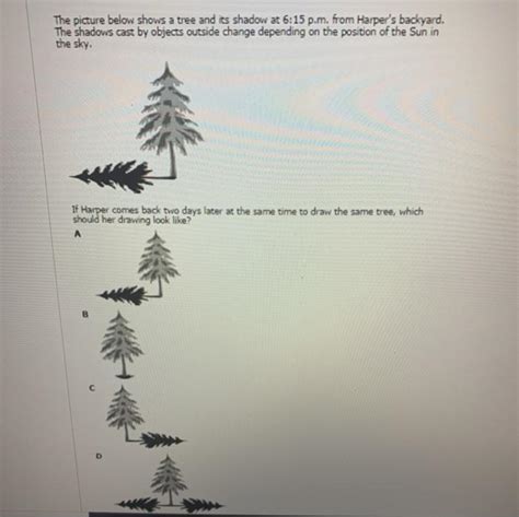 Solved The Picture Below Shows A Tree And Its Shadow At Chegg Com