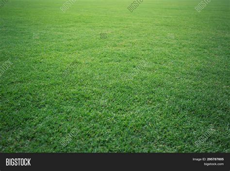 Soccer Field Grass Background