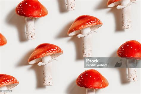 밝은 배경에 최소한의 패턴으로 흰 반점이 있는 빨간 버섯 자연스러운 질감 광고 유기적 아름다움 밝은 빨간색 모자와 흰색 줄기를 가진 생생한 파리 한천 크리 에이 티브 플랫