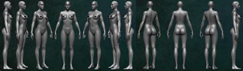 Female Anatomy Base Mesh Vol FlippedNormals