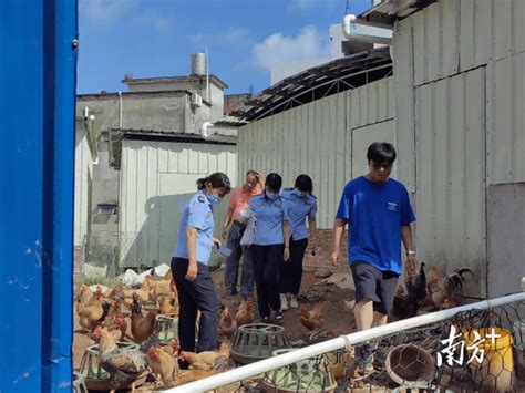 有违必查露头就打！高州潘州街道严厉打击违法建设相关工作群众