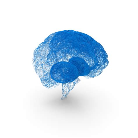 Brain Neural Network D Object Shutterstock