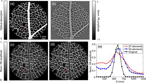 Multiview Hilbert Transformation In Full Ring Transducer Array Based Photoacoustic Computed
