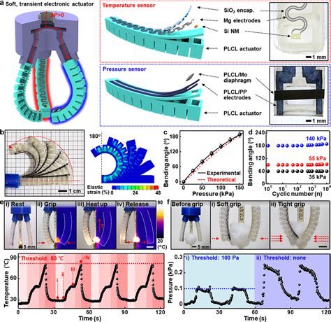 smart transient soft robots with integrated electronics a description download scientific