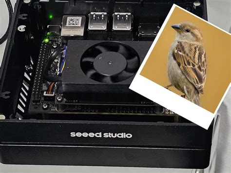 Yolov8 Custom Classification Model Using Jetson Orin Nx