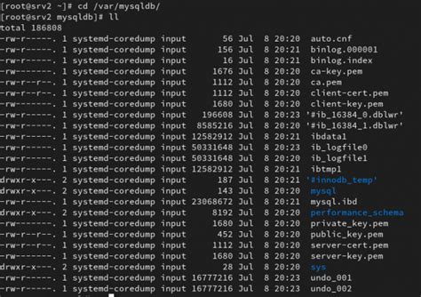 Setup Configure Mysql Docker Container With Persistent Storage