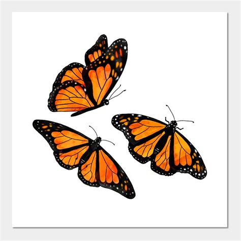 Monarch Butterflies By Abby Venture Monarch Butterflies Art Monarch