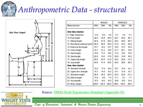 Ppt Engineering Anthropometry Powerpoint Presentation Free Download