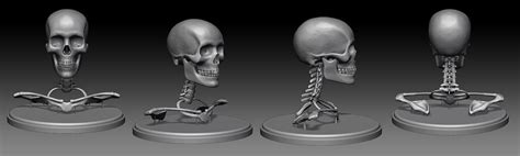 B S Scetchbook WIP S Nudity ZBrushCentral