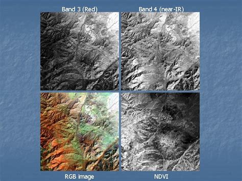 Measuring Vegetation Characteristics Going Beyond Land Cover Vegetation