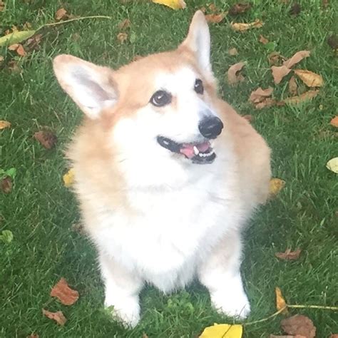 Syntaxerror Invalid Character In Identifier — Teh