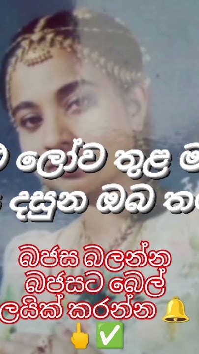 මේ සමාජ සංකල්ප ඉදිරියට ගෙන යෑම සදහා සහෝදරත්වයෙන් ශක්තියක් වෙමු Youtube