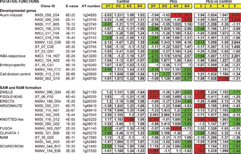 Fold Change Differences In The Expression Of Several Genes Involved In Download Scientific