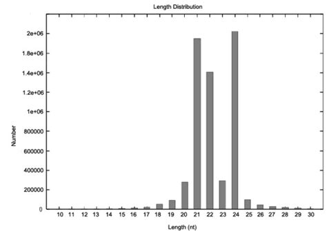 Distribution Of Solexa Reads In The Soybean Small Rna Library Solexa Download Scientific