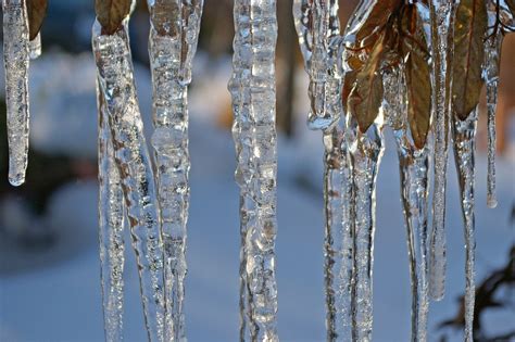 Ice Cream Age Icicle Free Photo On Pixabay Pixabay