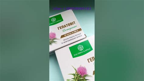 Здорова Печінка Здорове Життя Гепатовіт для Регенерації та Очищення Youtube