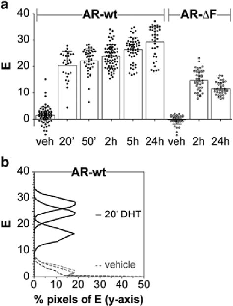 Androgen Regulated Fret Within Dual Labeled Cfp Ar Yfp Reporter A