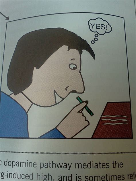 33 Hilarious Things You Can Find In Textbooks Bored Panda