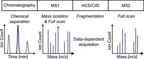 Non Targeted Analysis Using Lc Msms Dda Acquisition — Smartpeak Documentation