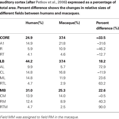 Relative Sizes Of Different Acfs In Human And Macaque Download Table