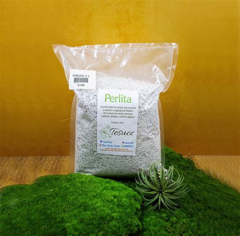 Perlita Mejora Para El Sustrato Tesucc Plantas Y Macetas