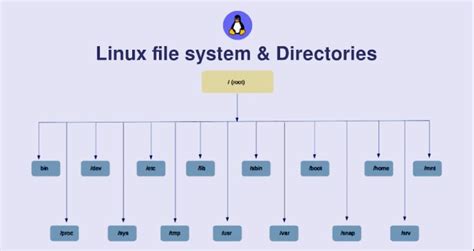 Prashant Chauhan On Linkedin 🔍 Exploring The Depths Of Linux File Systems 🐧💾 Here Is The Complete