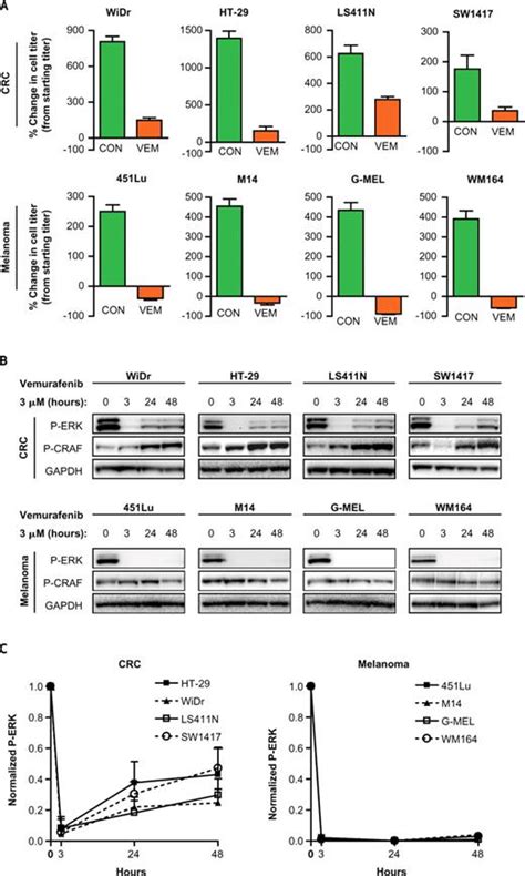 Egfr Mediated Reactivation Of Mapk Signaling Contributes To