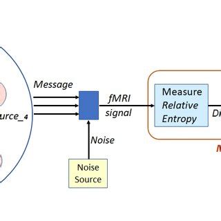 Proposed Computational Network Model For Estimating The Functional Download Scientific Diagram