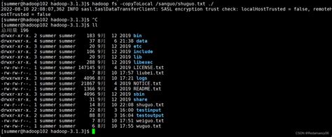 hadoop中hdfs的shell操作（开发重点）、启动hadoop集群、基本语法、常用命令实操、命令大全、 help、 mkdir