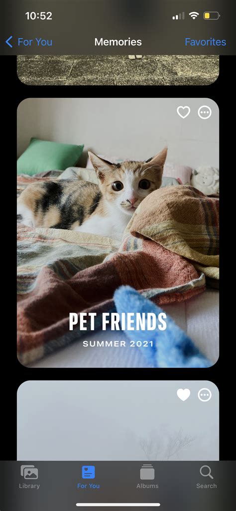 13화 사진첩 최대 주주이자 나의 웃음 버튼 모카