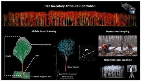 Remote Sensing Free Full Text Mobile Laser Scanning For Estimating Tree Structural