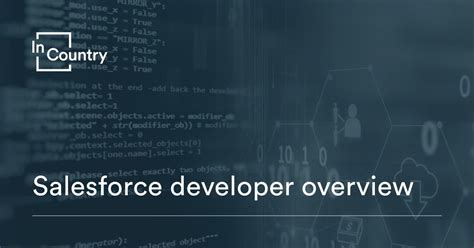 Salesforce Developers Overview Incountry