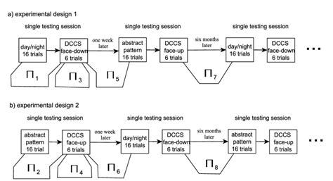 Experimental Stages Of Participants Performance The Matrices Π R R