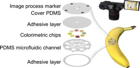Eye Readable And Wearable Colorimetric Sensor Arrays For In Situ