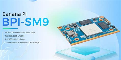 ai computemodule sophgo bm1688 bananapi raspberrypi orin nano