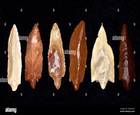 Neolithic Flint Arrowheads Stone Age Flint Arrowheads Dating From Around 8 000 To 10 000 Years
