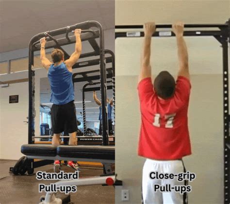 Exercise Pull Ups The Ultimate Back Workout But Not The Only One