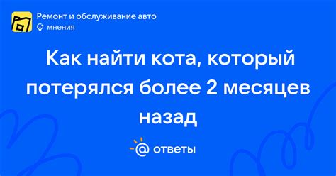Как найти кота который потерялся более 2 месяцев назад Ответы Mail
