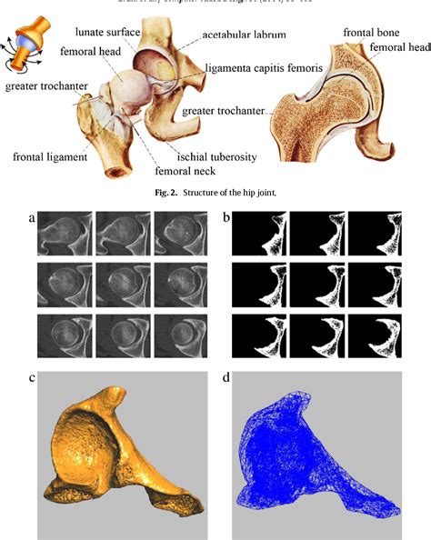 Figure 1 From A Personalized Ellipsoid Modeling Method And Matching