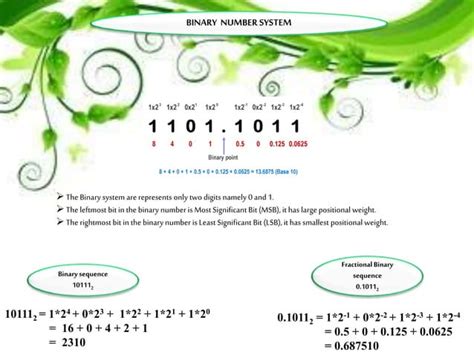 Binary Number System Rdsivakumar Ppt