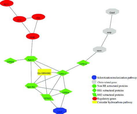 Overlapping Interactions In The Gene Co Expression Networks