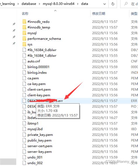 mysql sqlyog的超详细完整安装 数据库基础知识 csdn博客